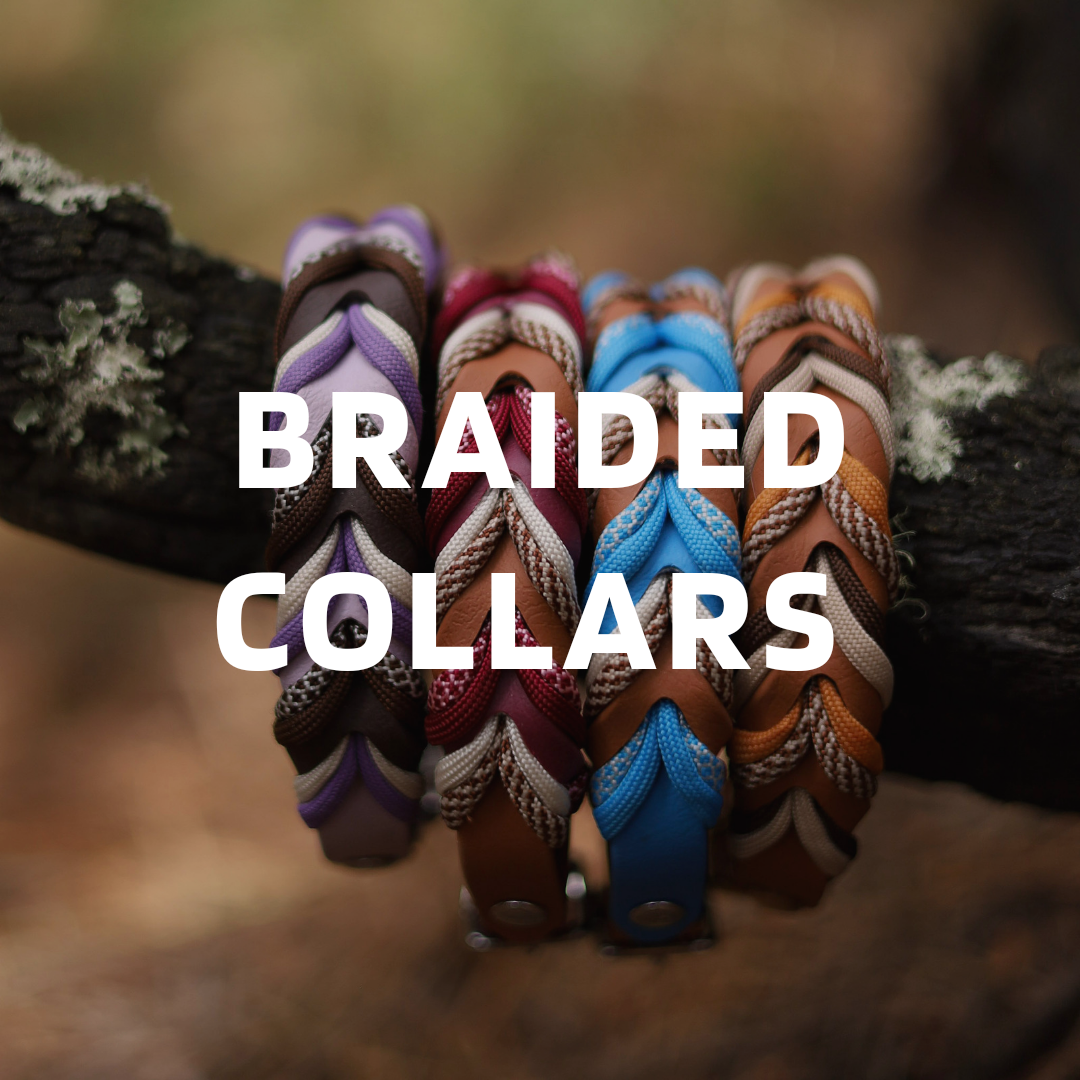 Braided collars – Ruffly Dog