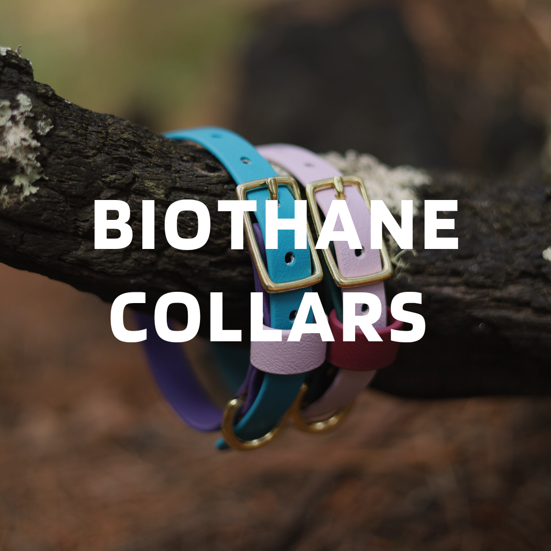 Waterproof dog collars I BioThane dog collars – Ruffly Dog