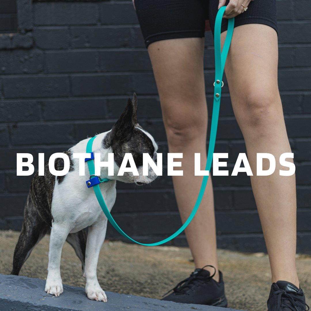 Biothane leads I Waterproof leashes - Handmade in Australia – Ruffly Dog
