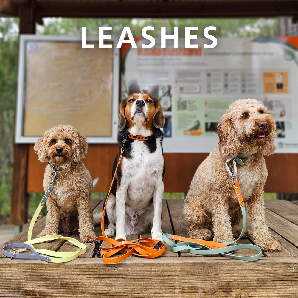 Waterproof BioThane® and rope dog collars, leads and harnesses – Ruffly Dog