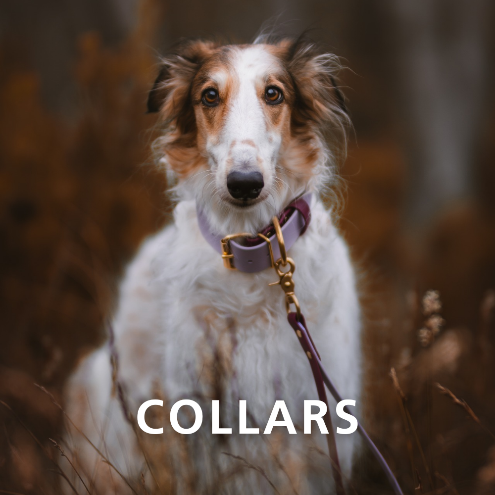 Waterproof BioThane® and rope dog collars, leads and harnesses – Ruffly Dog