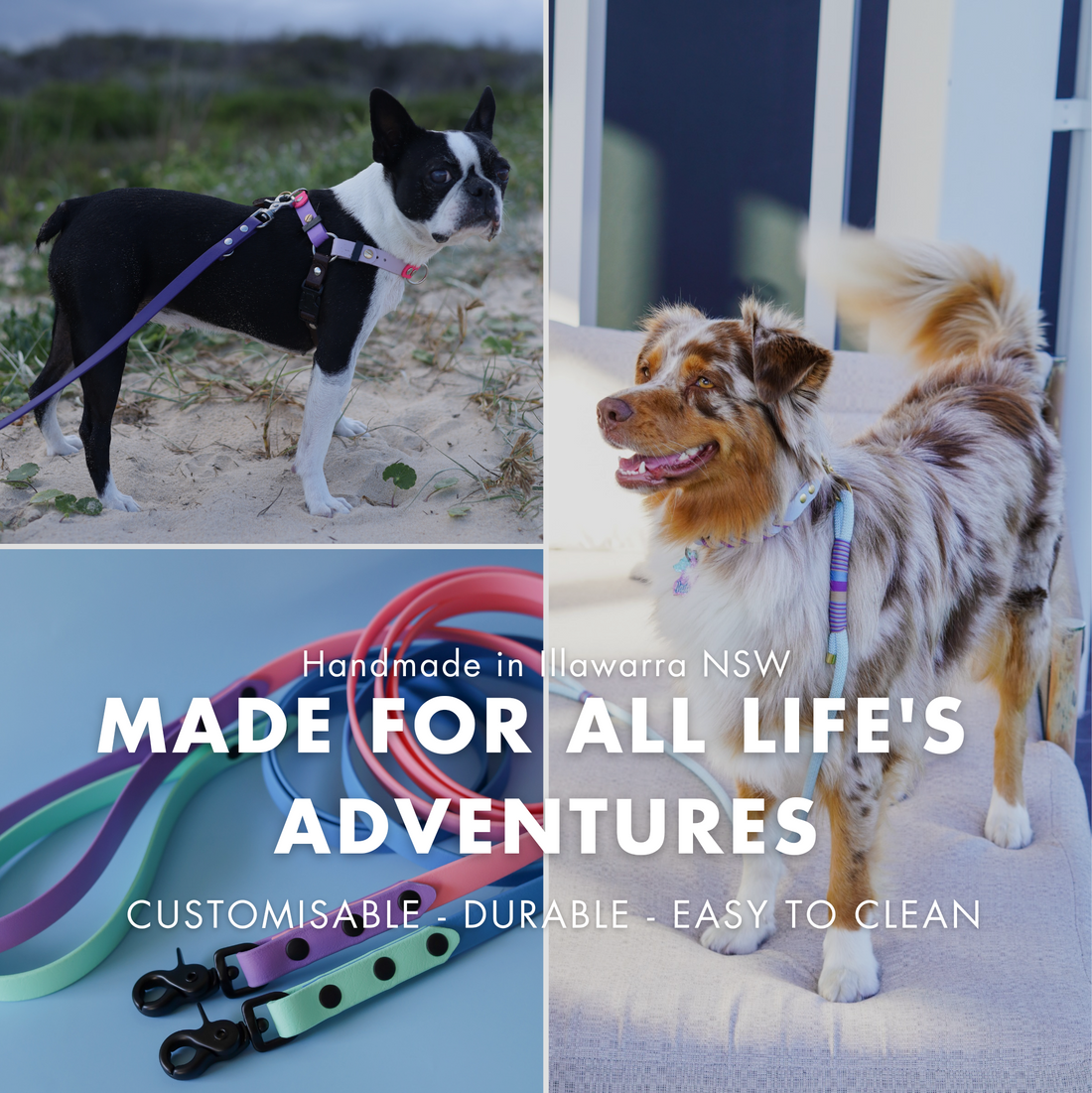 Ruffly dog - Custom waterproof biothane dog gear – Ruffly Dog