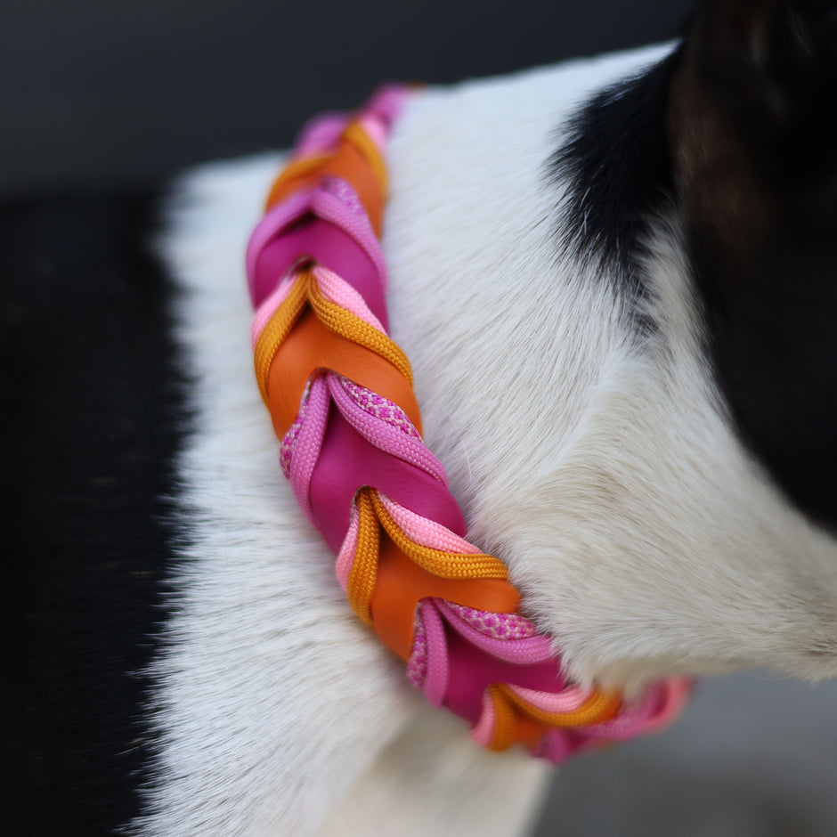 Braided collars – Ruffly Dog