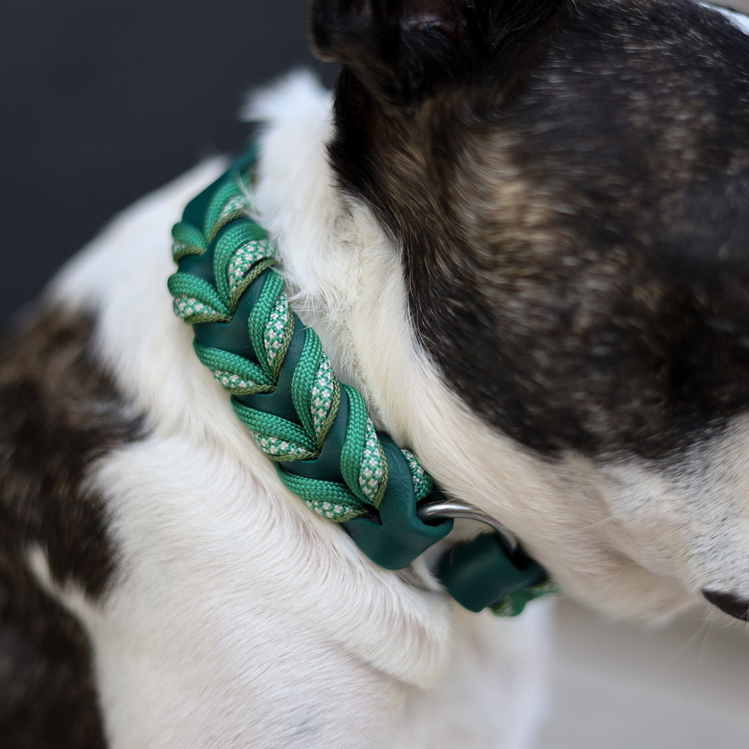 Braided collars – Ruffly Dog