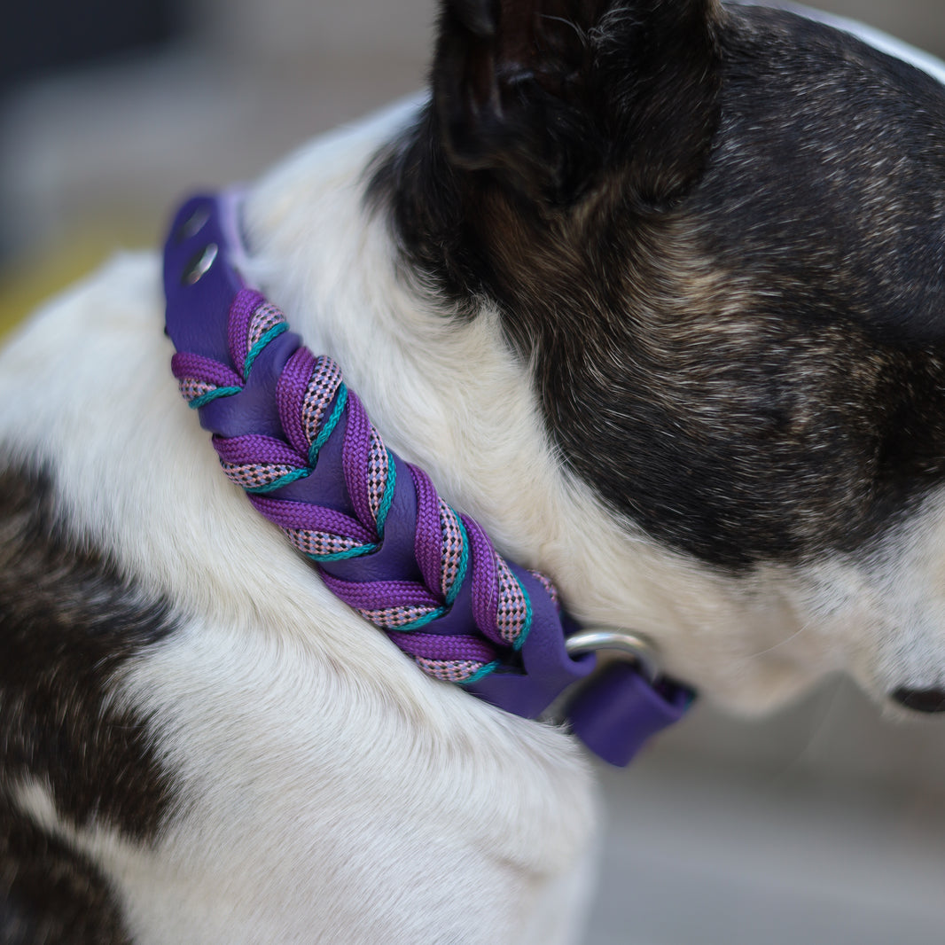 Braided collars – Ruffly Dog