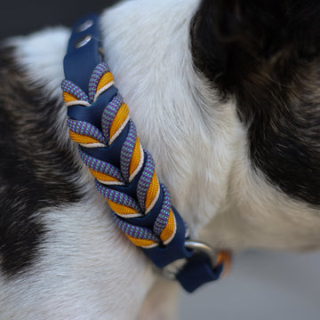 Braided collars – Ruffly Dog