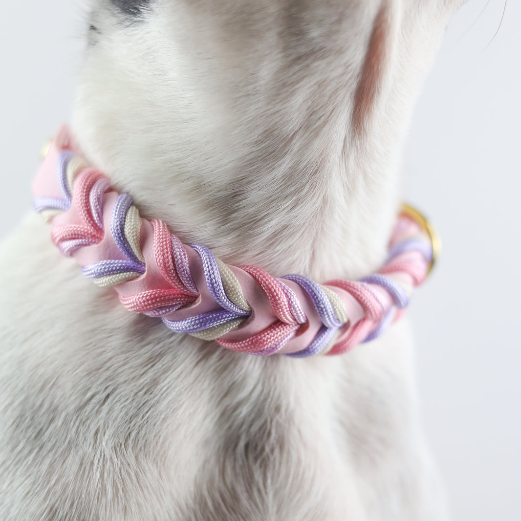 Braided collars – Ruffly Dog