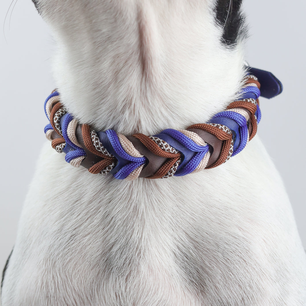 Braided collars – Ruffly Dog