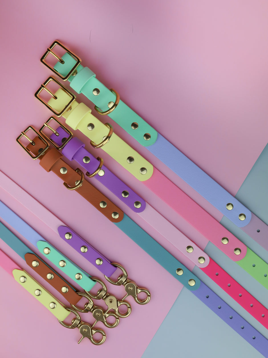 Waterproof dog collars I BioThane dog collars – Ruffly Dog