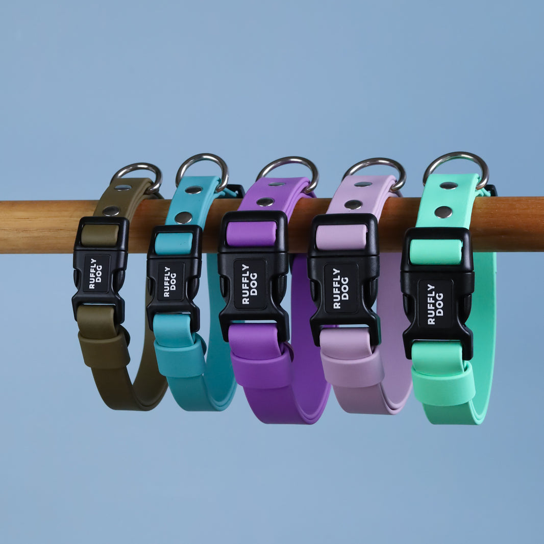 Waterproof dog collars I BioThane dog collars – Ruffly Dog