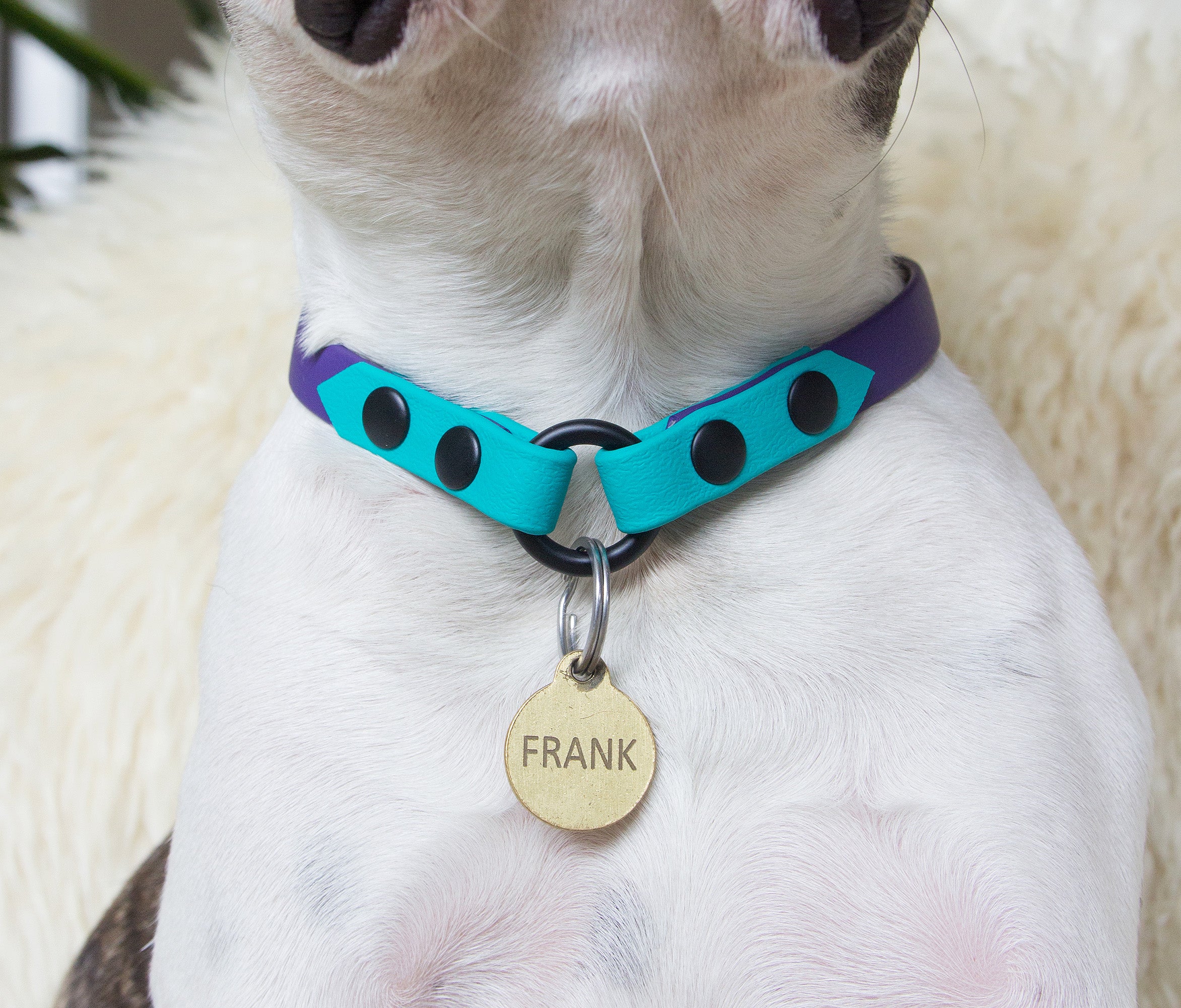 Waterproof BioThane® and rope dog collars, leads and harnesses – Ruffly Dog