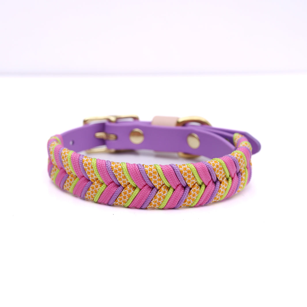 Braided collars – Ruffly Dog