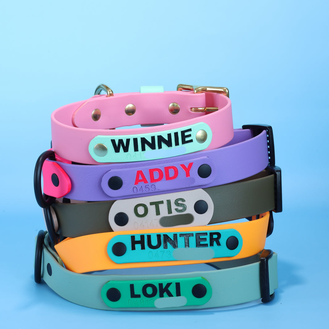 Waterproof dog collars I BioThane dog collars – Ruffly Dog
