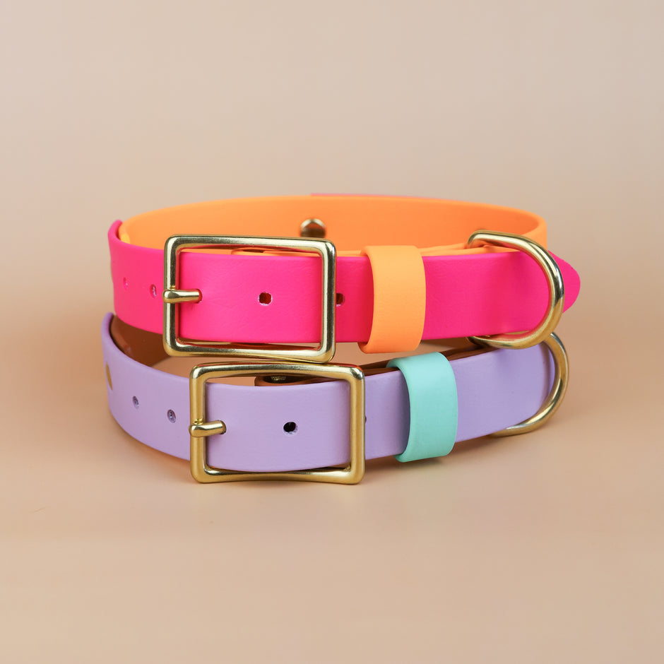 Waterproof dog collars I BioThane dog collars – Ruffly Dog