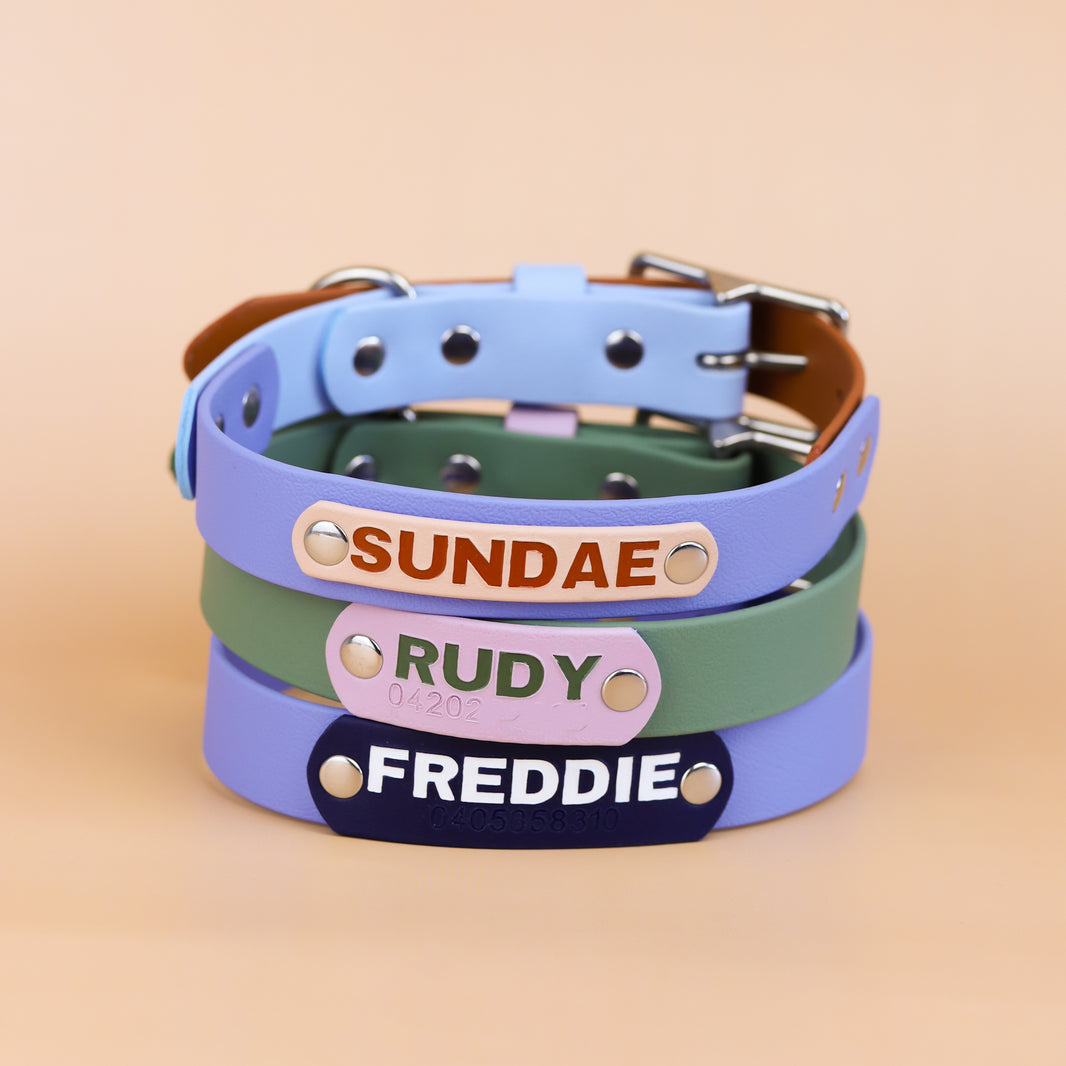 Waterproof dog collars I BioThane dog collars – Ruffly Dog