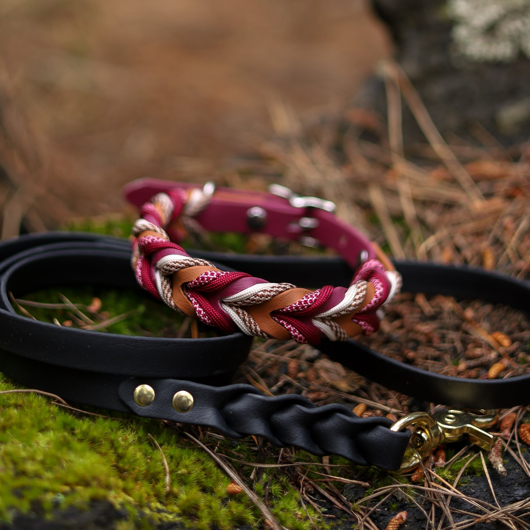 Braided paracord/ BioThane collar – Ruffly Dog