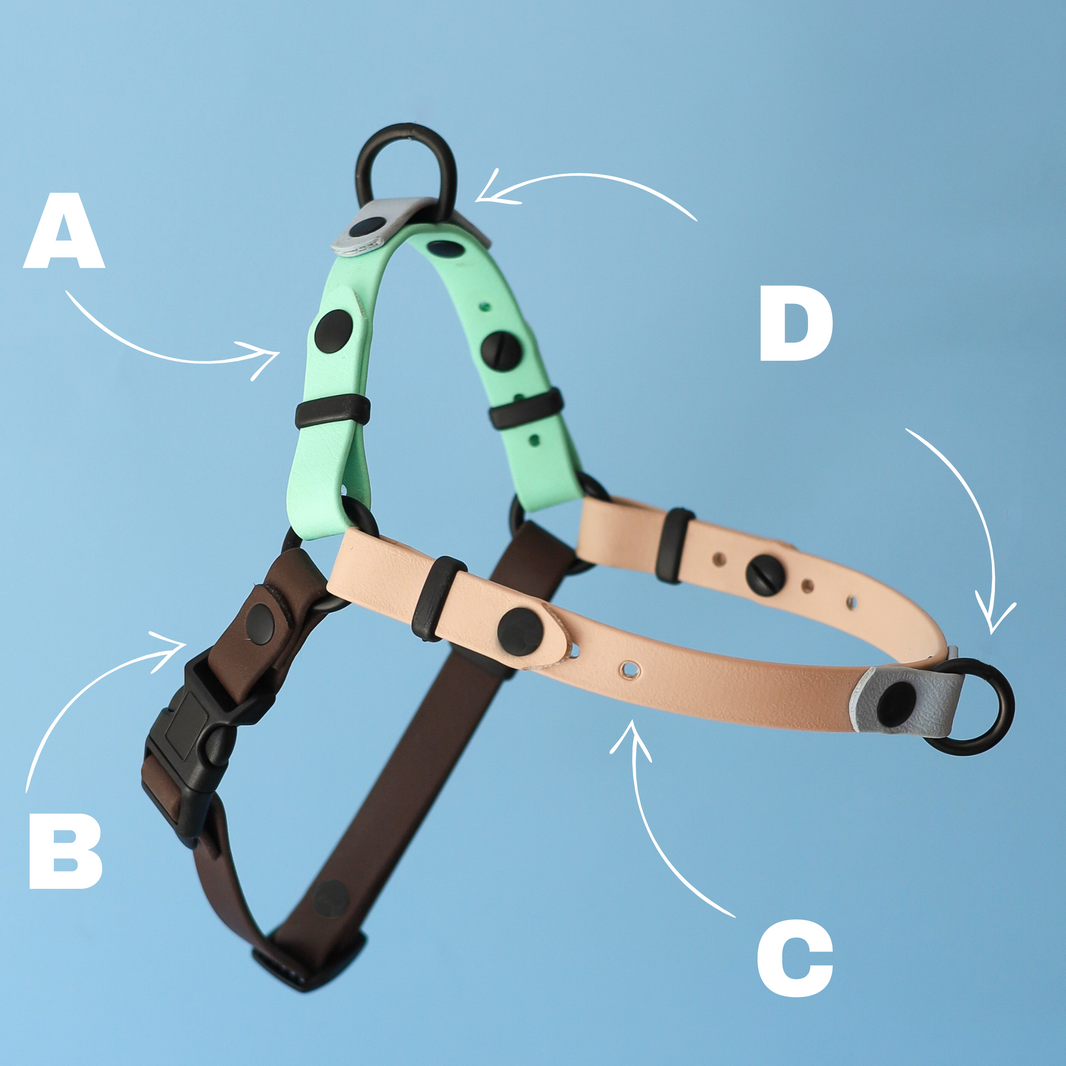 Waterproof collars, leads and harnesses Handmade in Australia – Ruffly Dog